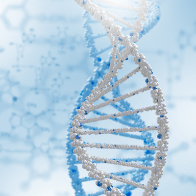 Overlap PCR/SOE PCR技术服务外包 - genebreed-凯益生物/进潮科技